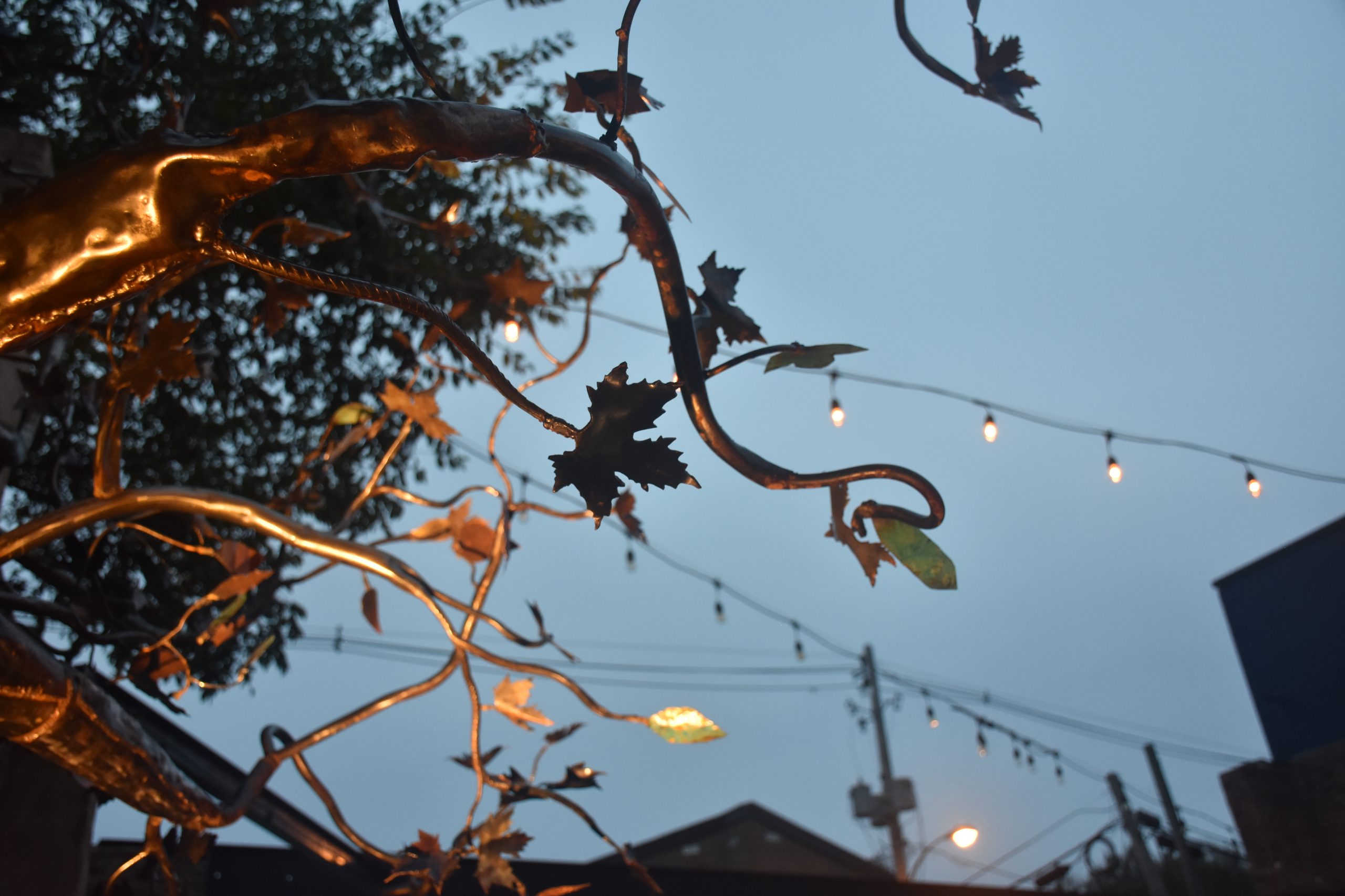 Healing Tree - Appalachian Arts Alliance